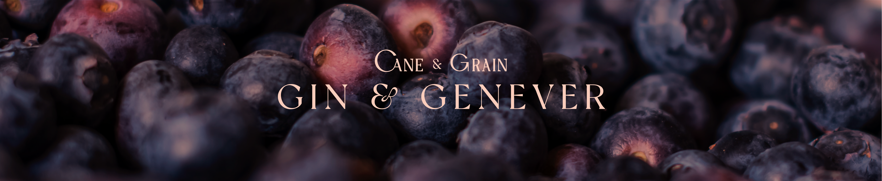 Gin & Jenever kopen? Grote selectie online te bestellen!